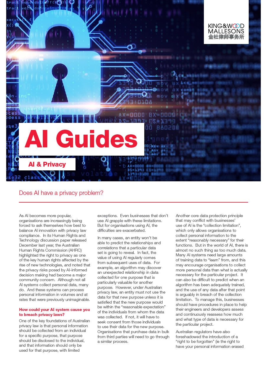 AI Guides | AI & Privacy - KWM